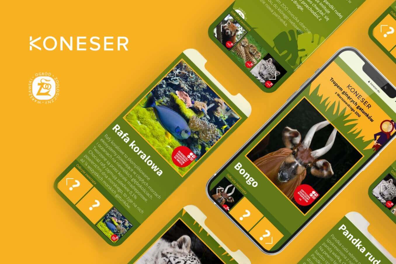 Mobile Application Development - Koneser: Case Study by Fingoweb